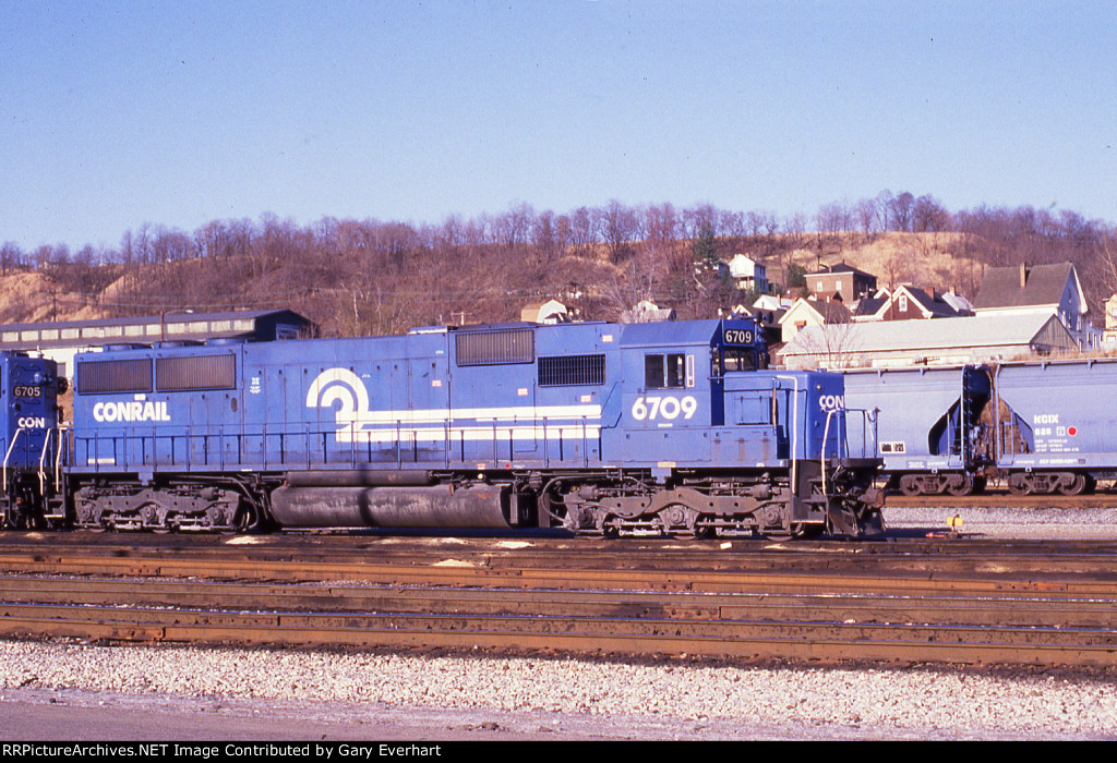 CR SD50 #6709